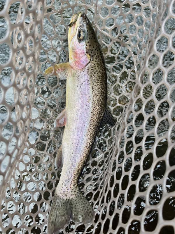 Fremont fishing. Fishing locations on the map